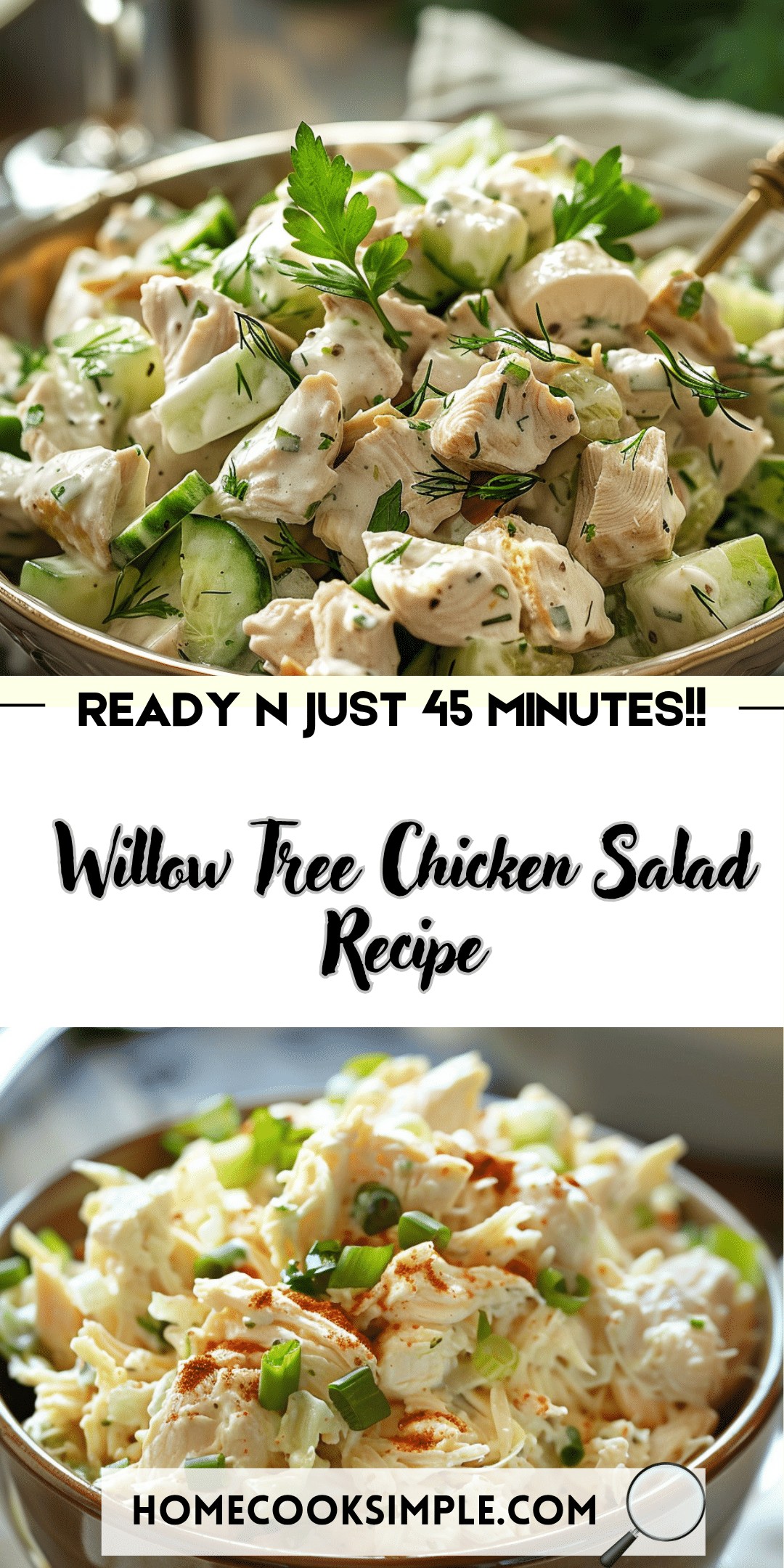 Willow Tree Chicken Salad Recipe - Home Cook Simple